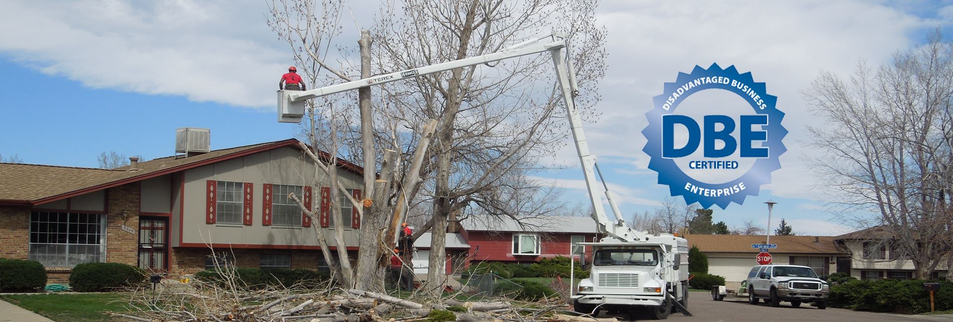 Denver Tree Service – 24/7 Emergency Removal & Trimming | John Egart’s ...